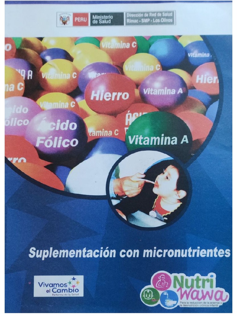 Micronutrientes MINSA | PDF