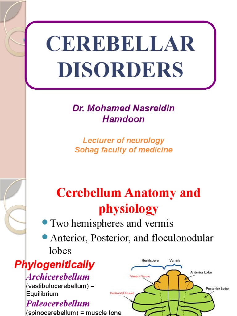 Cerebellar Disorders: Dr. Mohamed Nasreldin Hamdoon | PDF | Cerebellum ...
