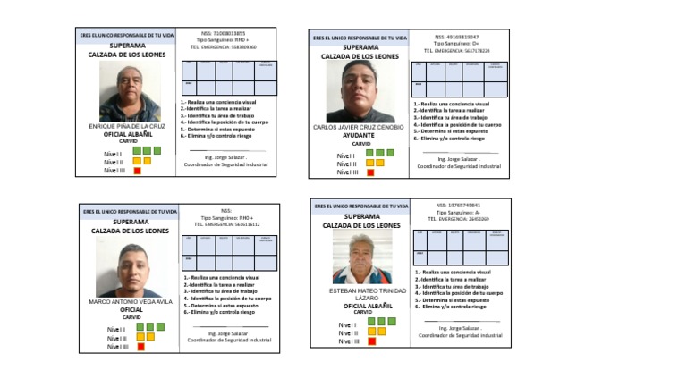 Credenciales de Identificación Laboral | PDF