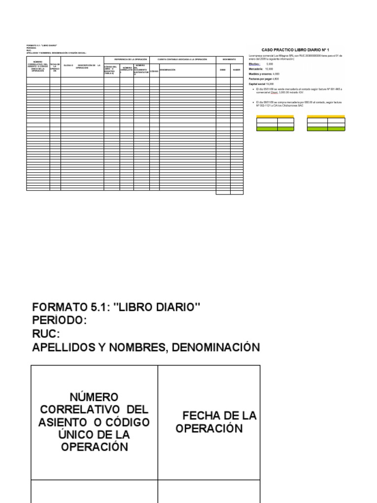 Formato 5.1 del Libro Diario | PDF | Contabilidad