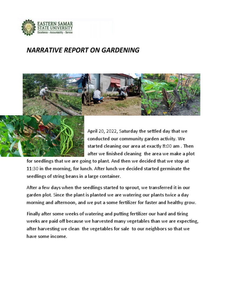 Narrative Report On Gardening | PDF