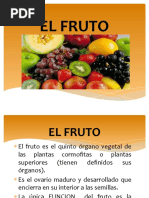 Fruto y Semilla | PDF | Plantas de jardín | Fruta
