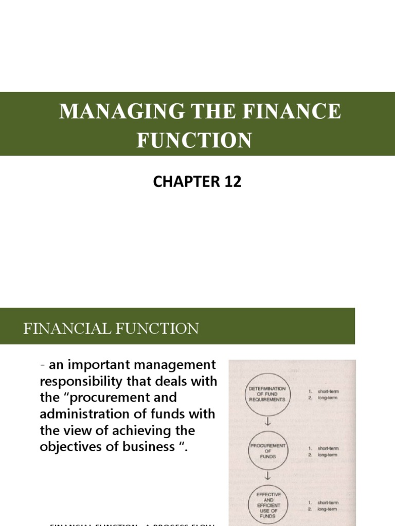 Chapter 12 MANAGING THE FINANCE FUNCTION | PDF
