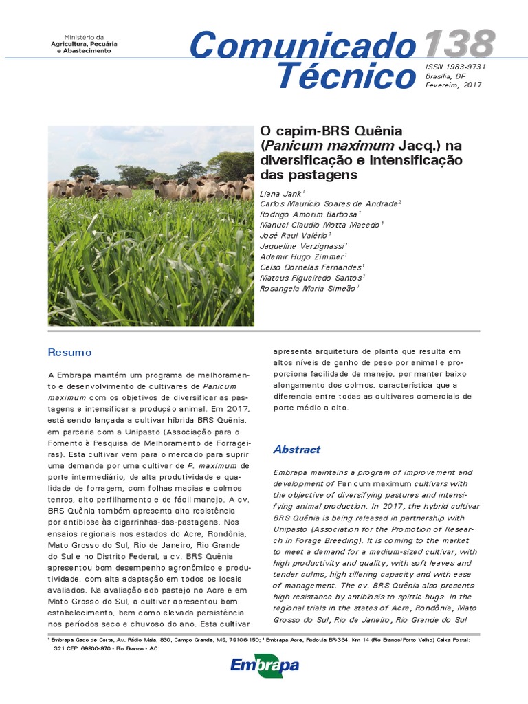 Capim BRS Quenia Panicum Maximum Jacq. | PDF | Natureza