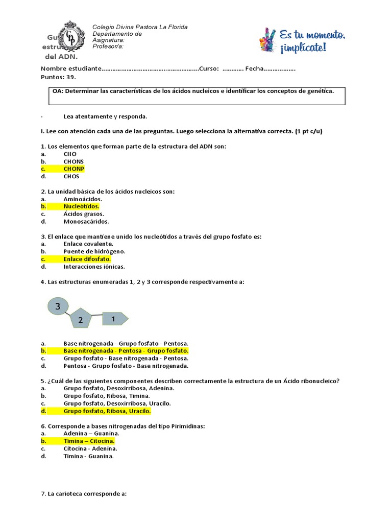 Ejercicios sobre la Estructura del ADN | PDF | Adn | Rna