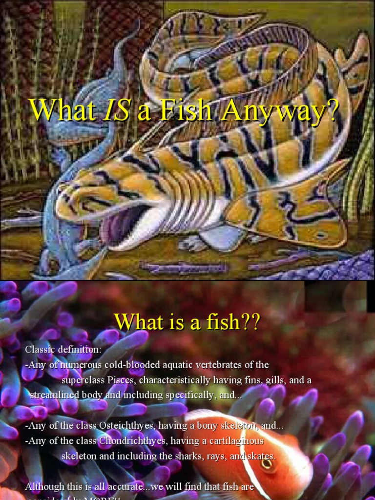 Understanding Fish: Types and Diversity | PDF