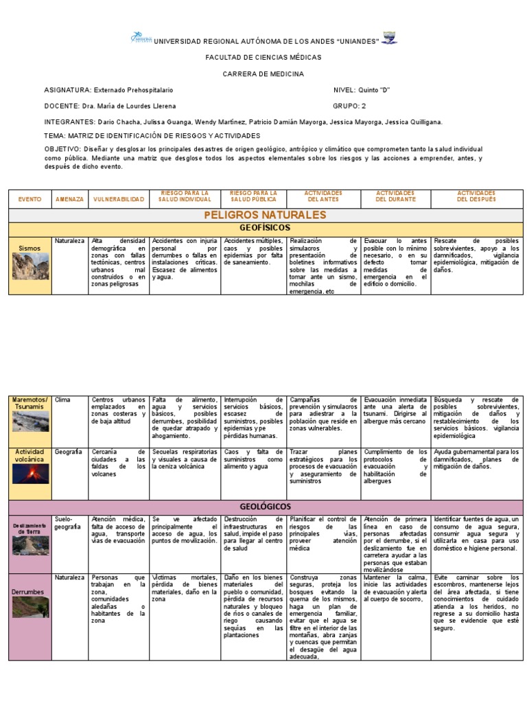 MATRIZ DE IDENTIFICACIÓN DE RIESGOS Y ACTIVIDADES SEGÚN CICLO DEL ...