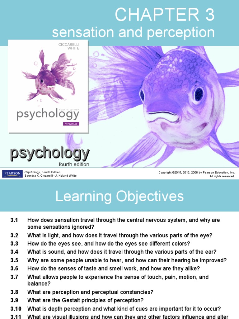 Sensation and Perception: Psychology | Download Free PDF | Senses | Hearing