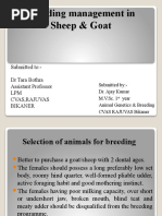 Goat and Sheep Reproductive System | PDF | Reproductive System ...