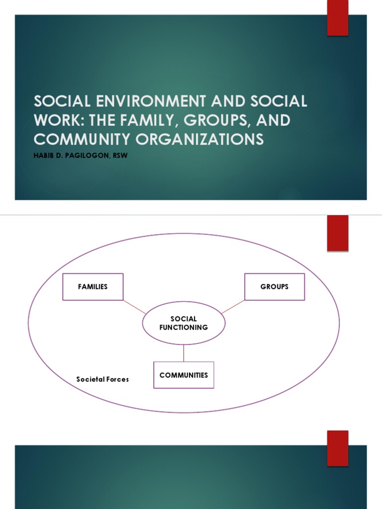 Social Environment and Social Work | PDF | Cost Of Living | Leadership