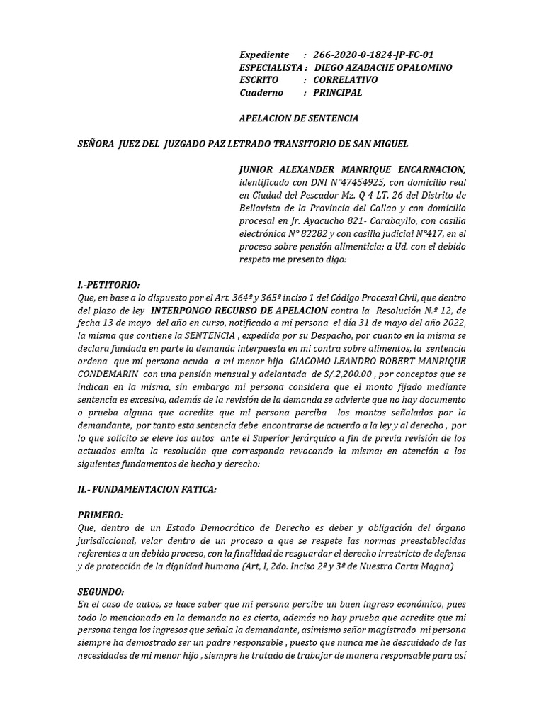 Apelacion de Sentencia Alexander - Lima | PDF | Apelación | Debido al ...