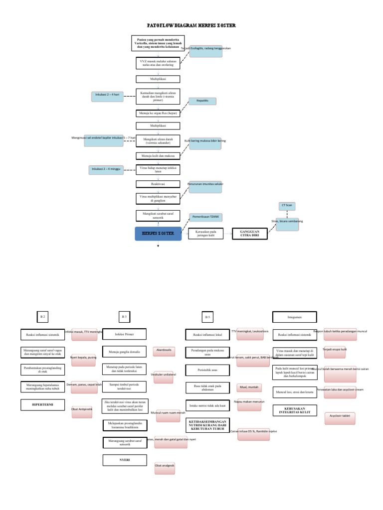 Patoflow Diagram Ppok | PDF