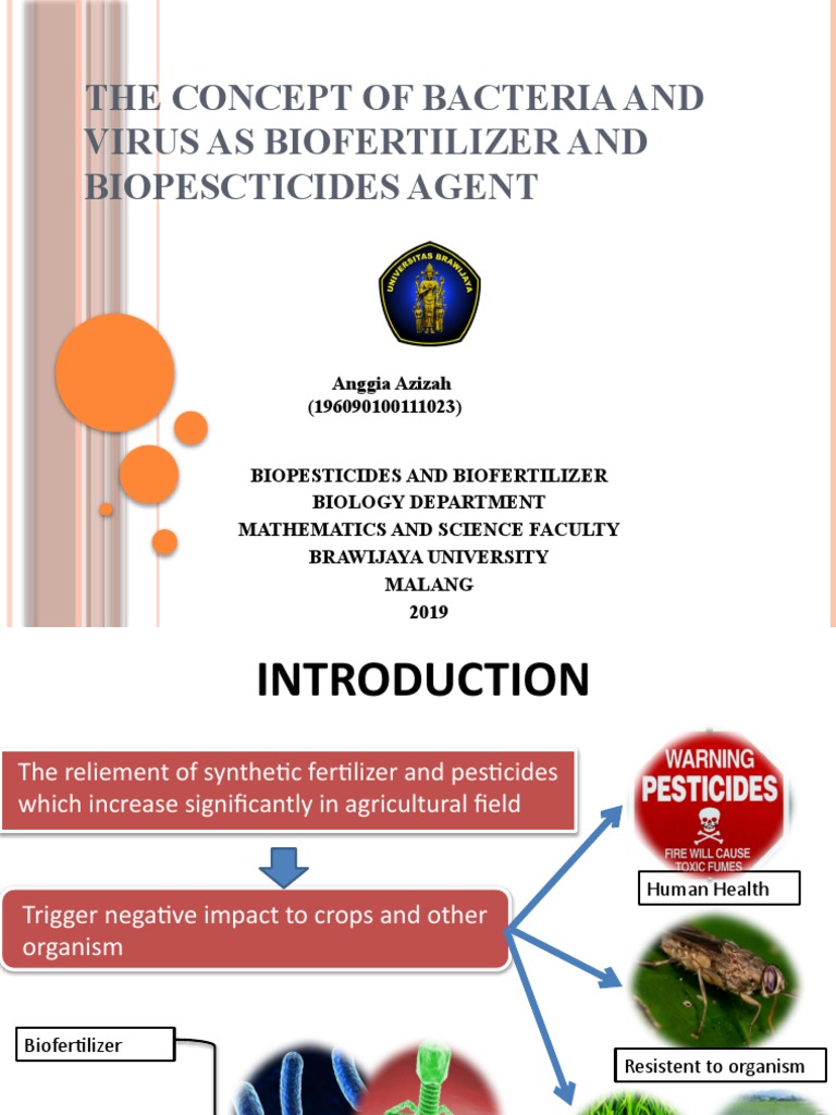 The Concept of Bacteria and Virus as Biofertilizer | PDF | Bacillus | Soil