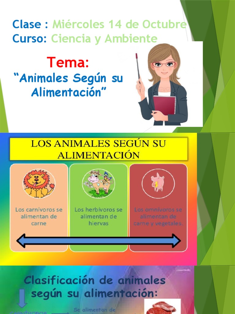 Animales Segun Su Alimentacion | PDF | Hogar, jardinería y bricolaje