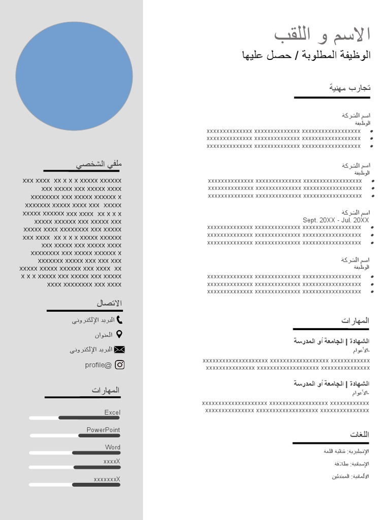 73 CV Template Spontaneous Application | PDF