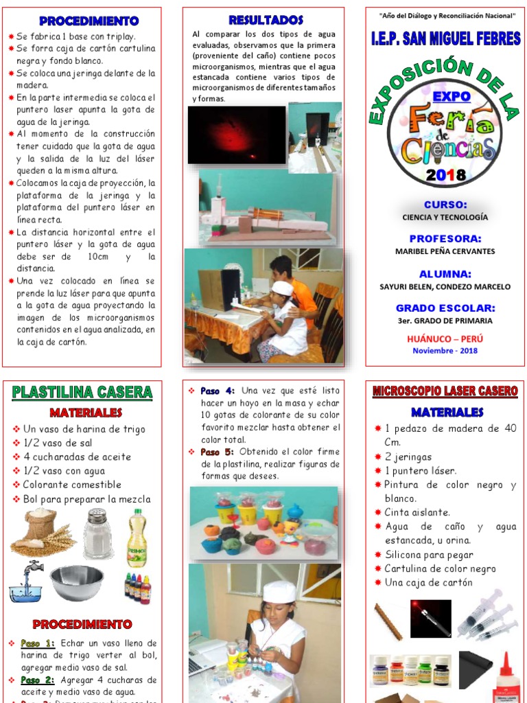 Triptico Feria de Ciencias | PDF