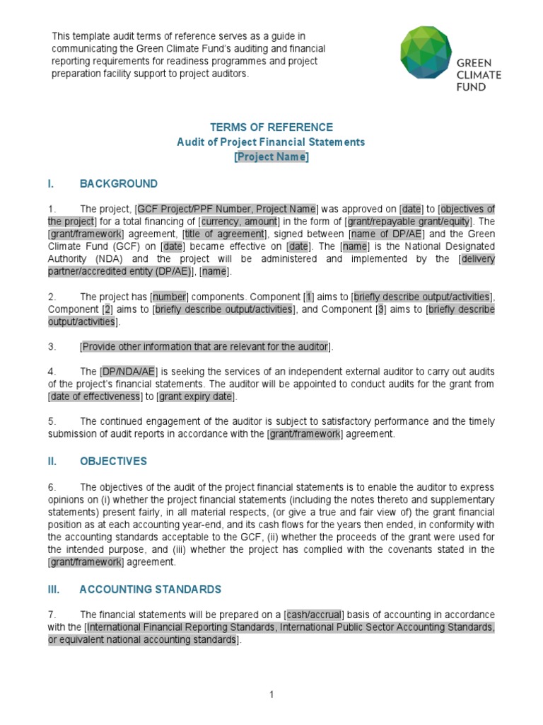Terms of Reference Audit of Project Financial Statements (Project Name ...