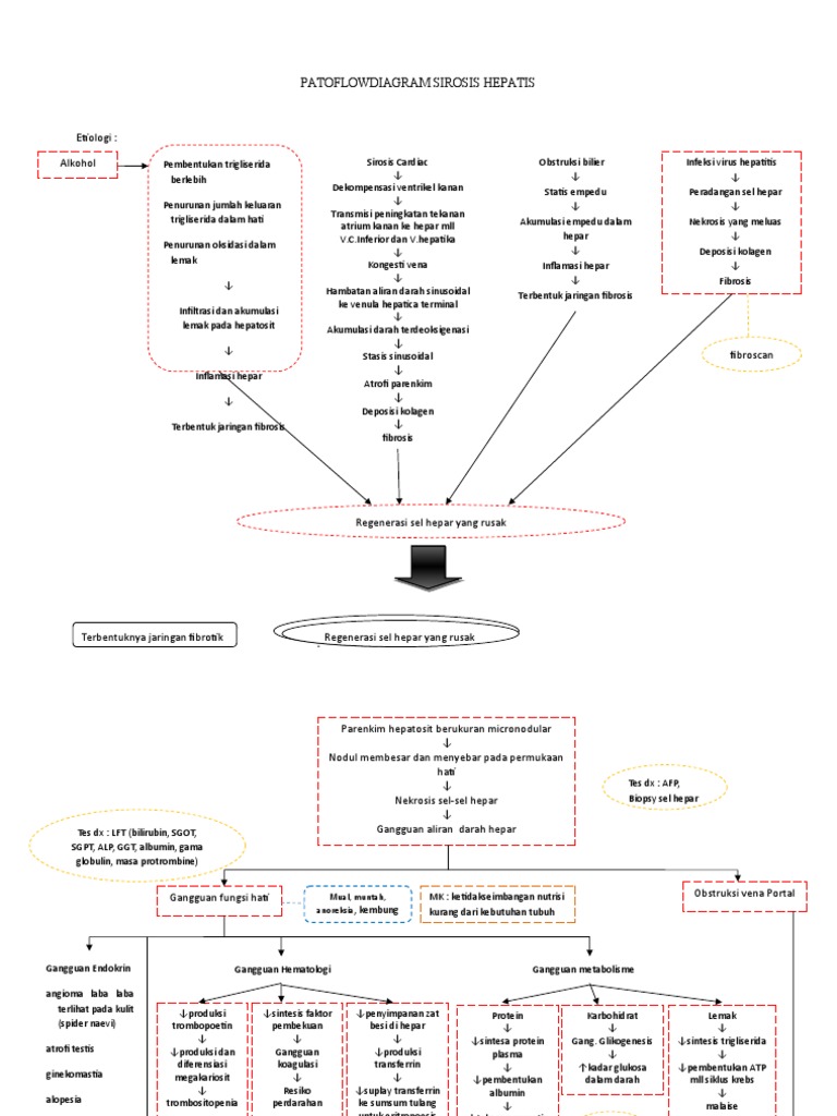 Diagram Patofisiologi Sirosis Hepatis | PDF