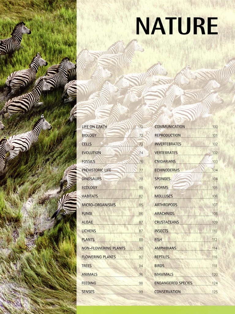 Homework Encyclopedia - NATURE | PDF | Cell (Biology) | Fossil