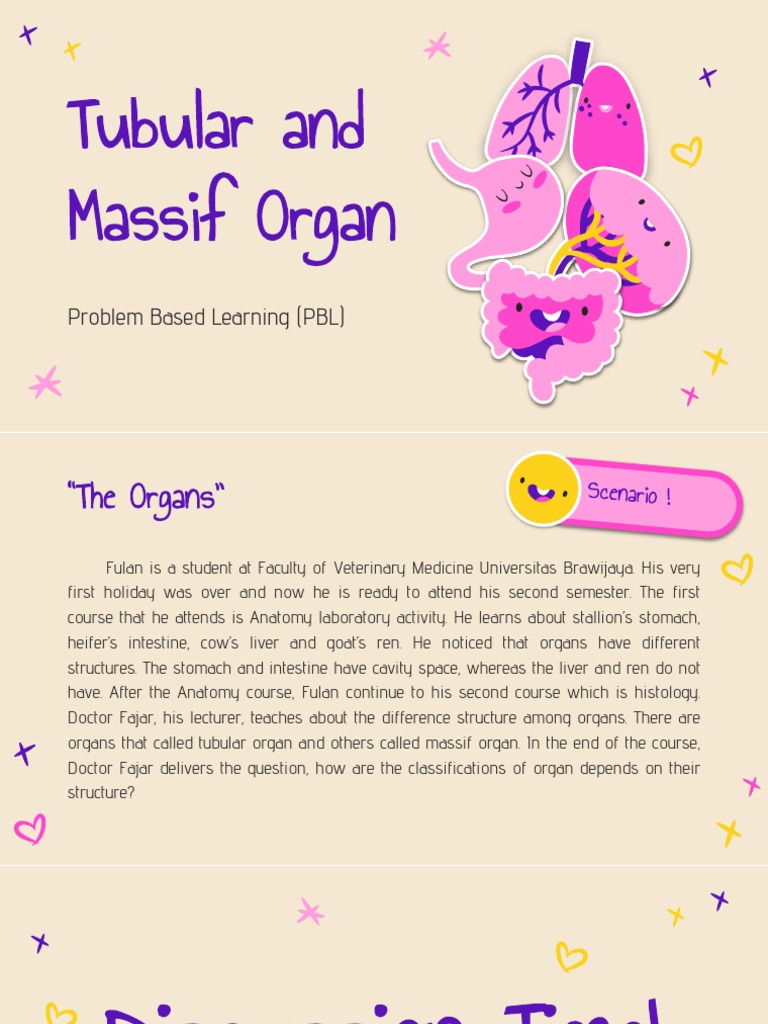 Classification of Organs Based on Structure: Understanding the ...