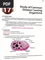 Class 12 Biology Experiment TS of Testes and LS of Ovary | PDF