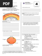 Plate Tectonics Worksheetwith Questions | PDF | Plate Tectonics ...