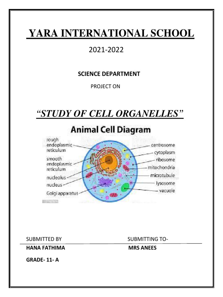 Cell Organelles Project | PDF | Endoplasmic Reticulum | Cell (Biology)