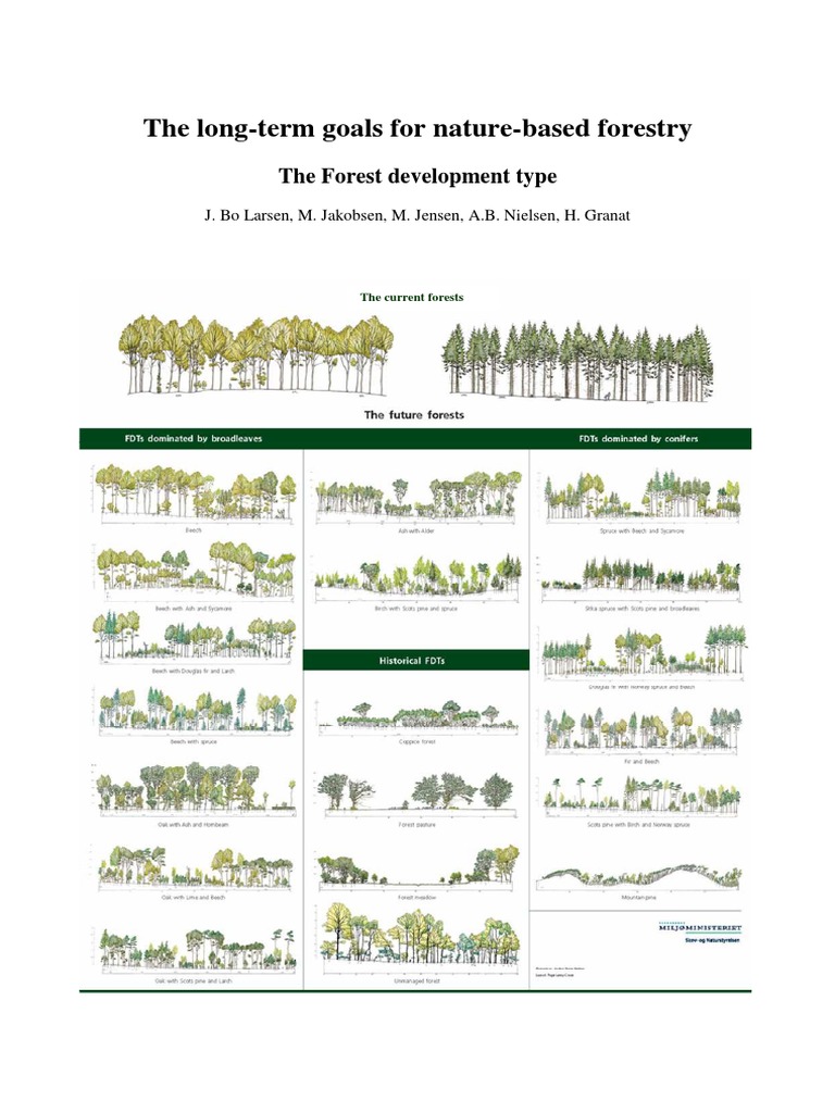 Larsen Et Al (2005) Forest Development Types | PDF | Forests | Wood