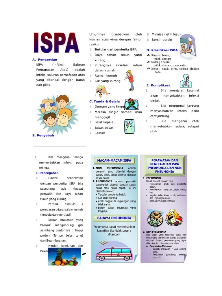Leaflet Ispa | PDF