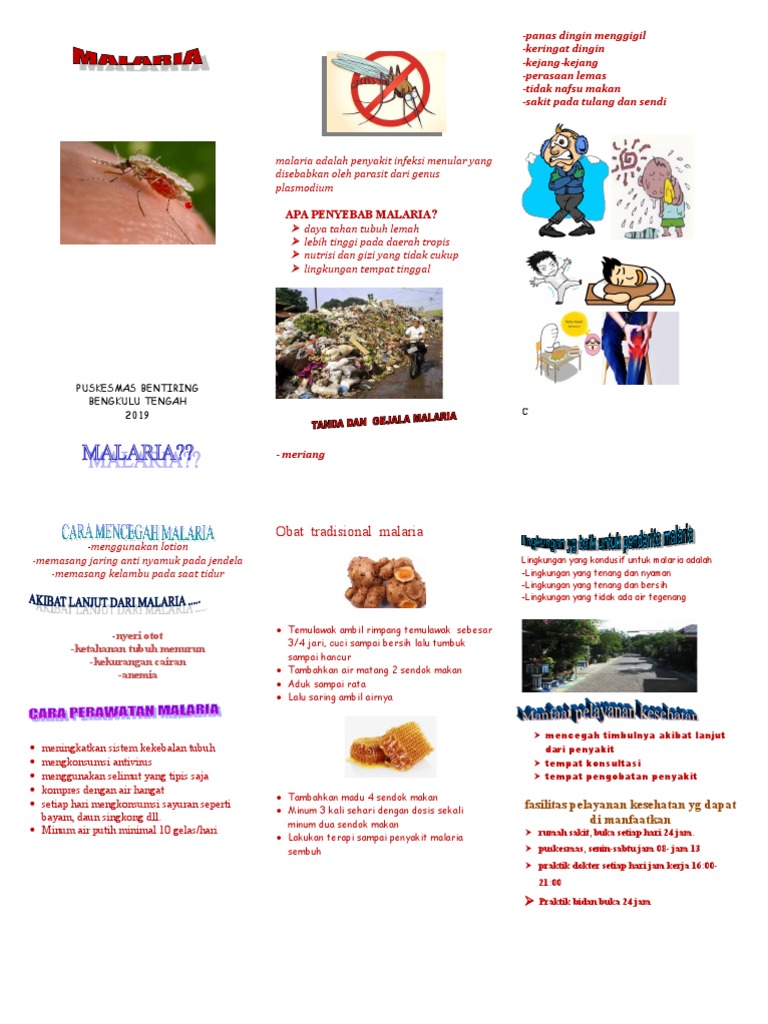 LEAFLET Malaria | PDF