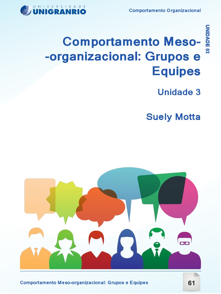 Comportamento Meso-organizacional em Grupos | PDF | Comportamento ...