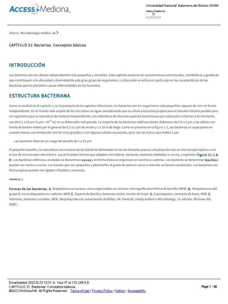 CAPÍTULO 21 - Bacterias. Conceptos Básicos | PDF | Biología Celular ...