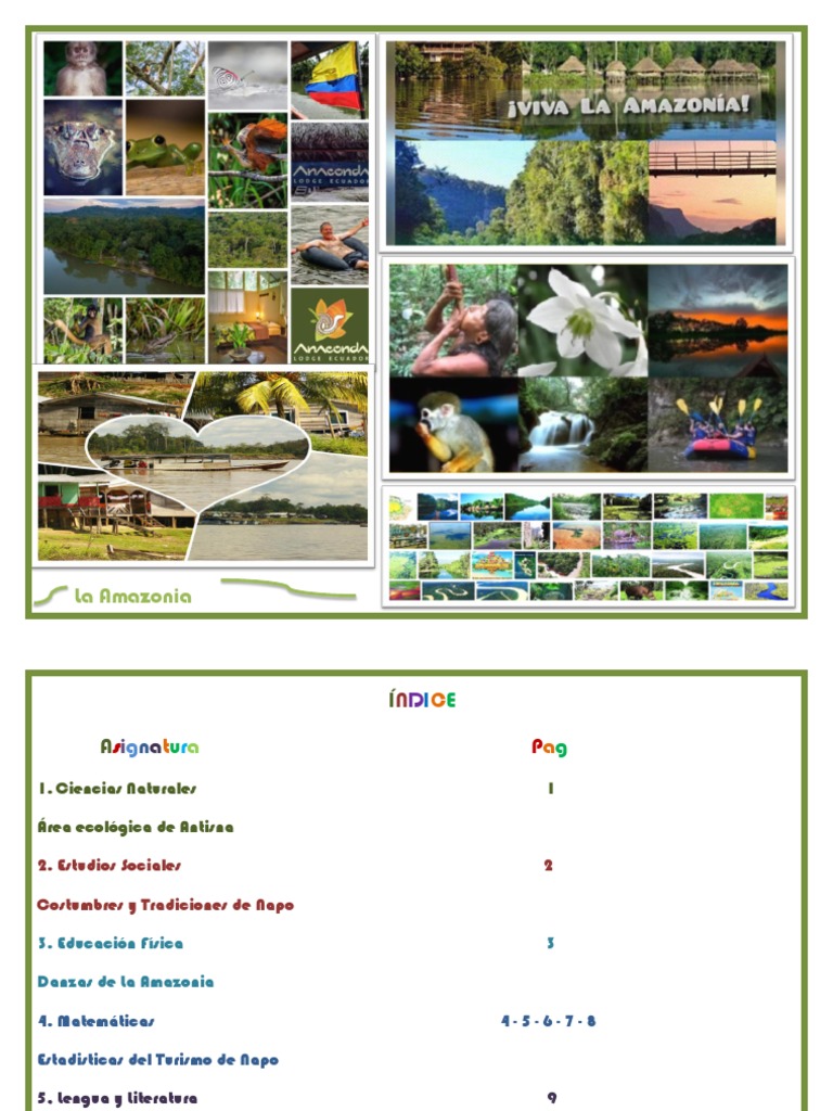 Álbum de Fotos de La Amazonia | PDF