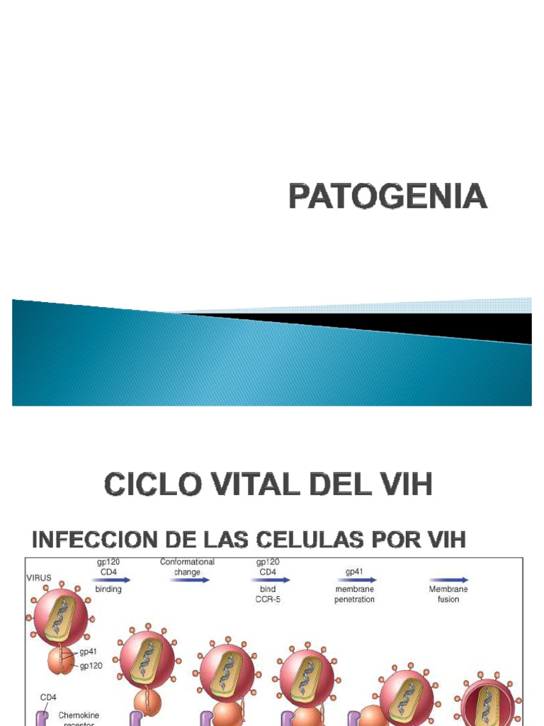 Análisis de Texto Codificado | PDF | Tecnología