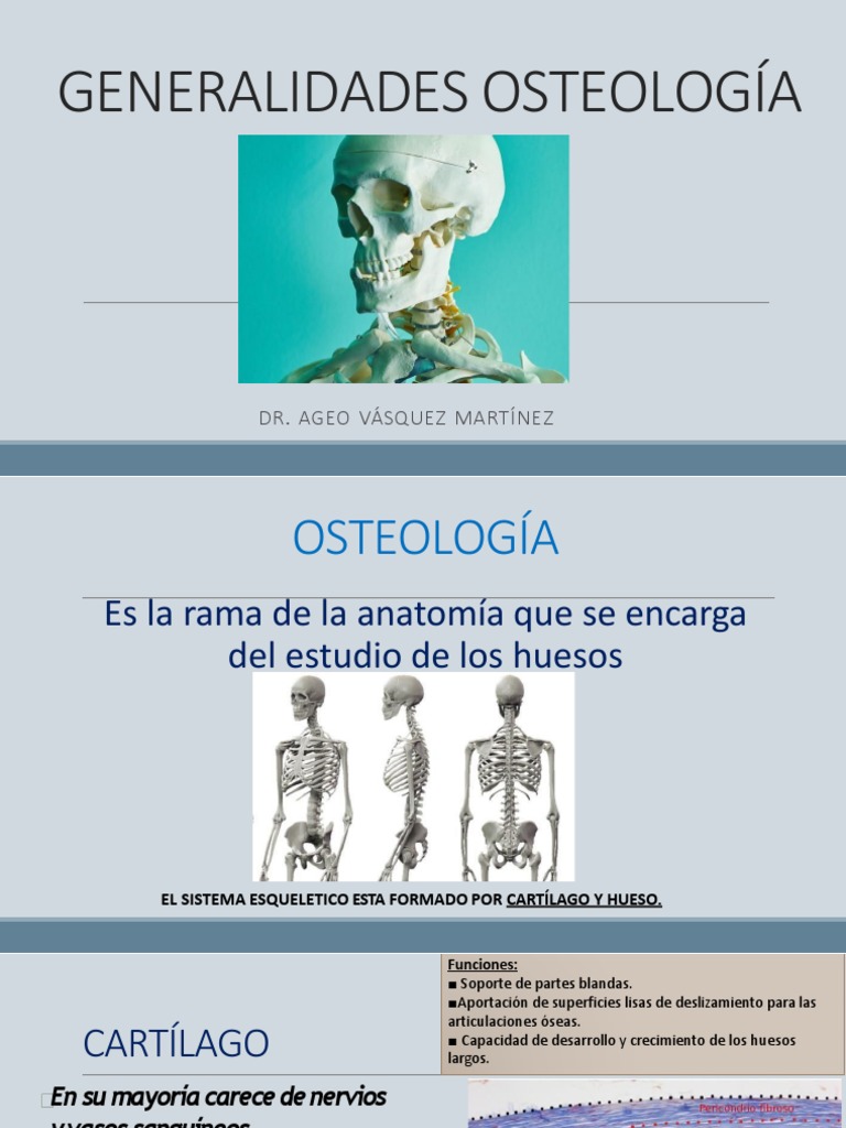 OSTEOLOGIA | PDF | Hueso | Cartílago