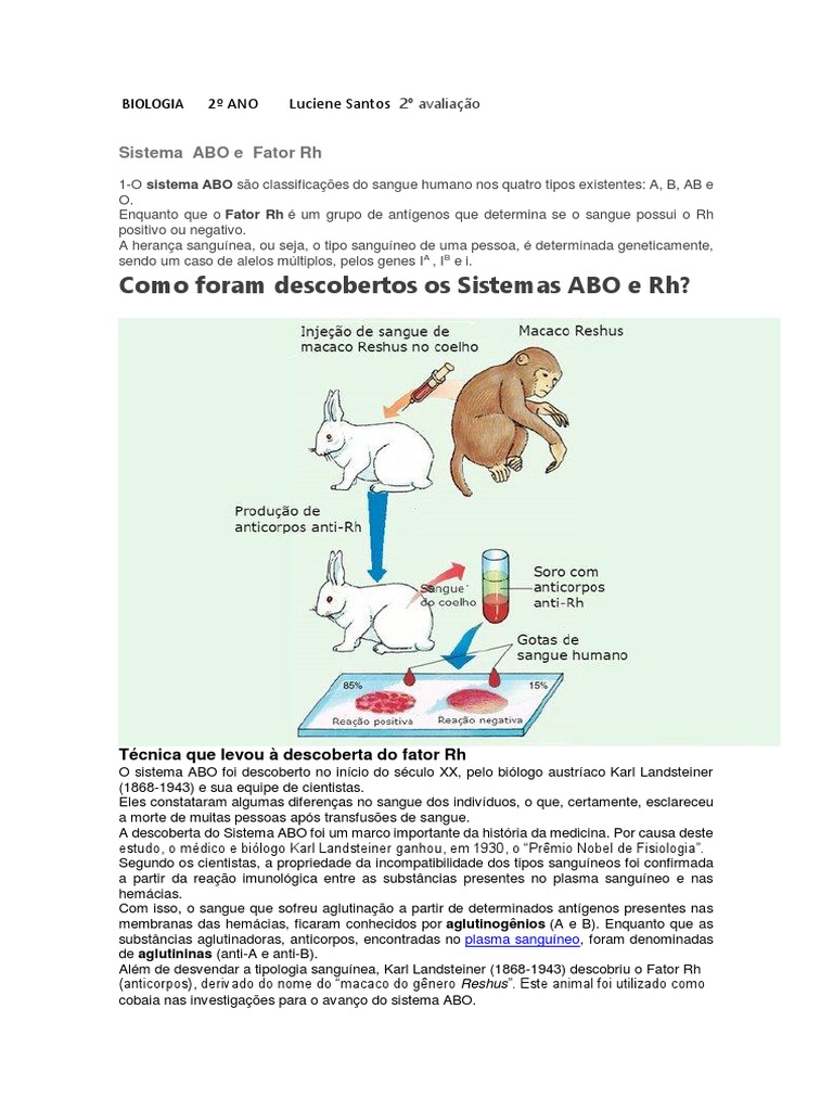 2º Ano Sistema Abo e Fator RH | Download grátis PDF | Tipo sanguíneo ...