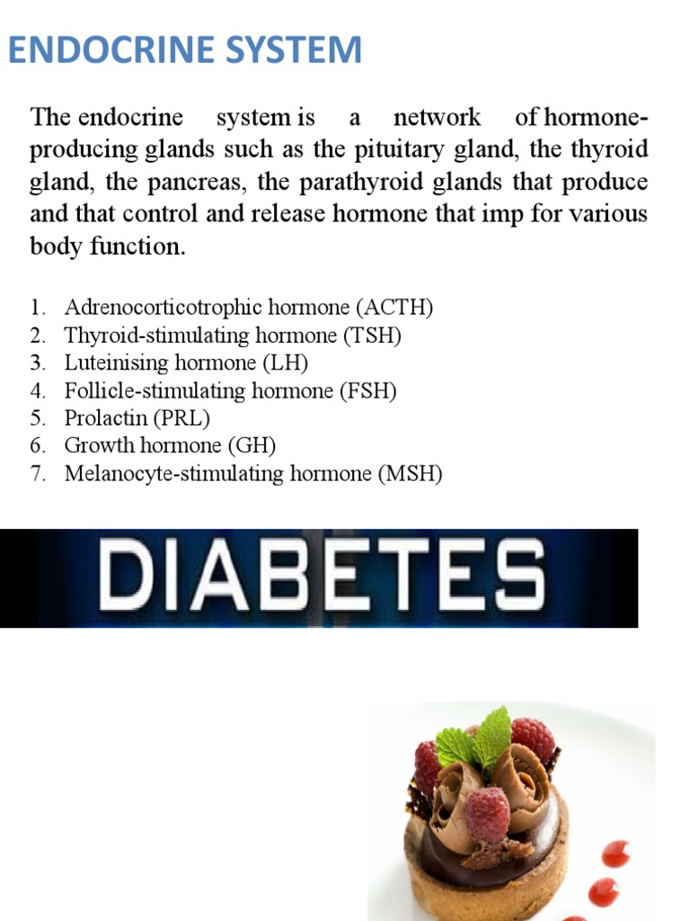 Endocrine System and Diabetes Overview | PDF | Hypothyroidism | Thyroid