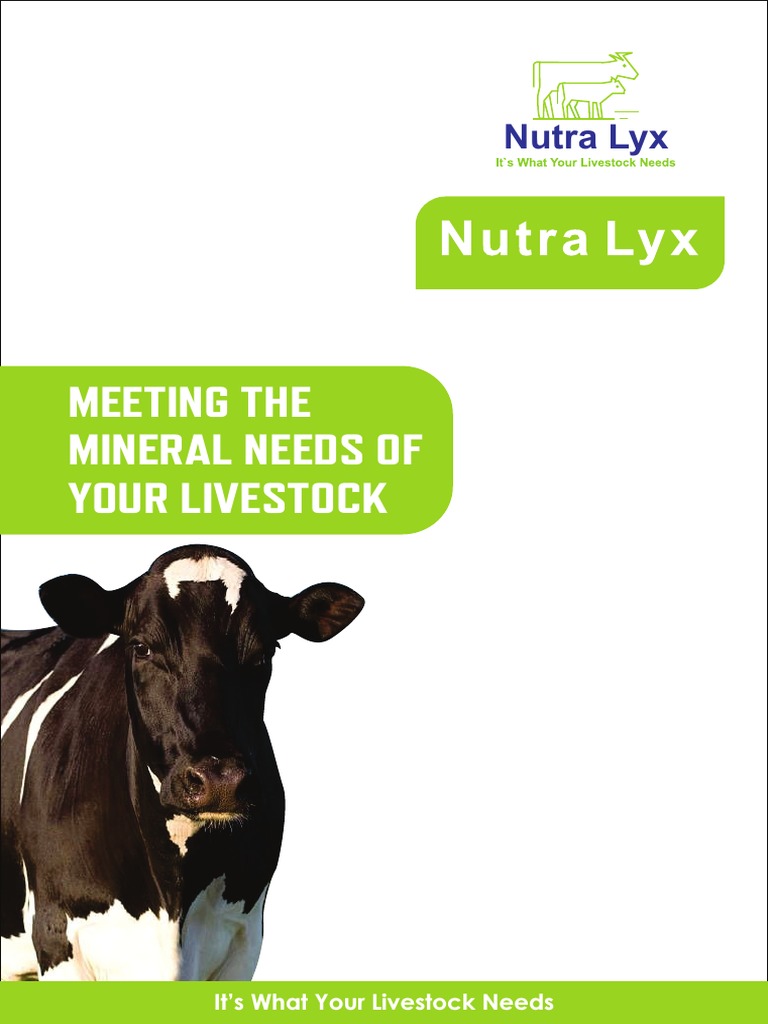 Nutra Lyx cow | PDF | Cattle | Milk