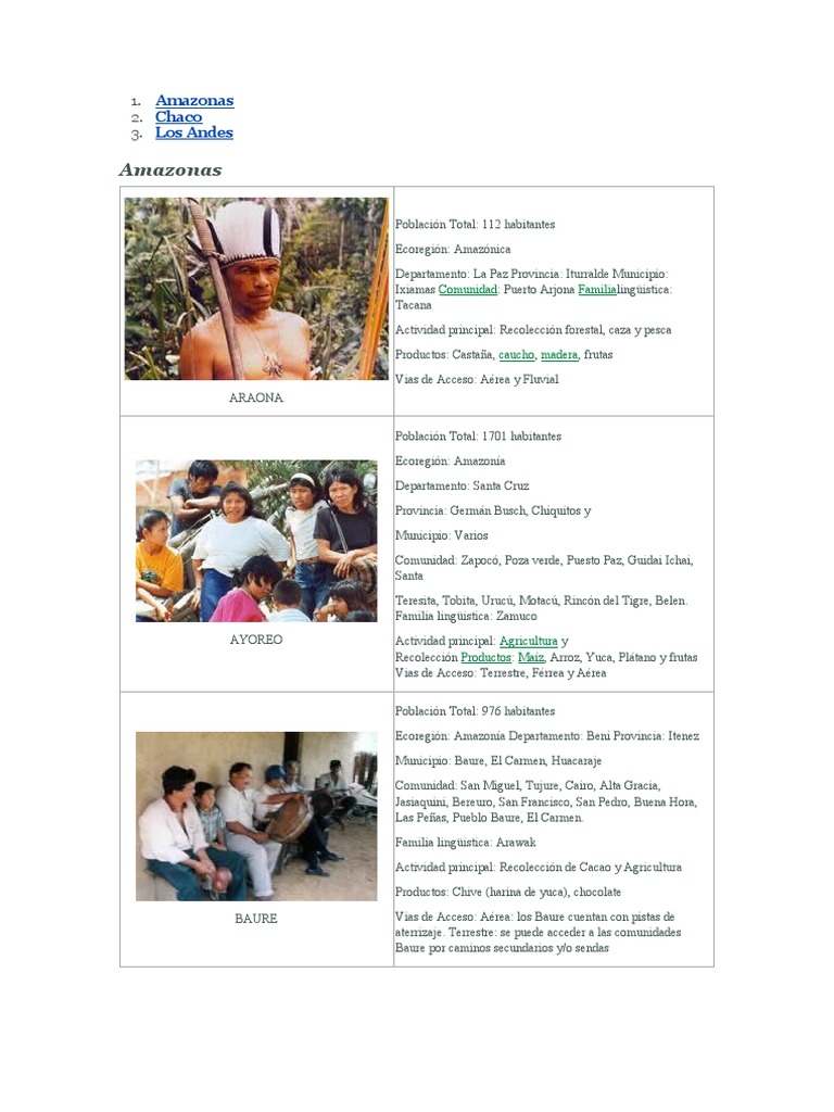 Caracteristicas de Las 36 Etnias de Bolivia | PDF