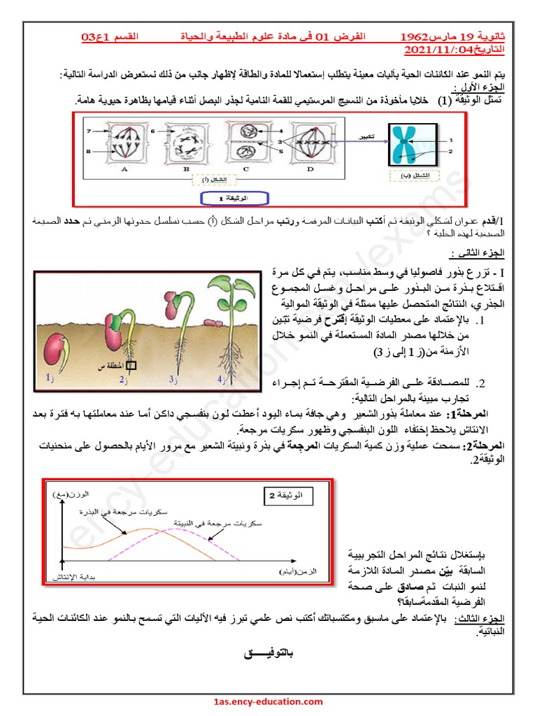 Dzexams 1as Sciences 1995955 | PDF