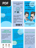 Qué Es La Bcgitis | PDF | Enfermedades y trastornos | Medicina CLINICA