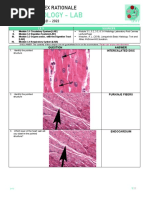 Specialised Animal Cells - Living Organisms - KS3 Biology - BBC ...