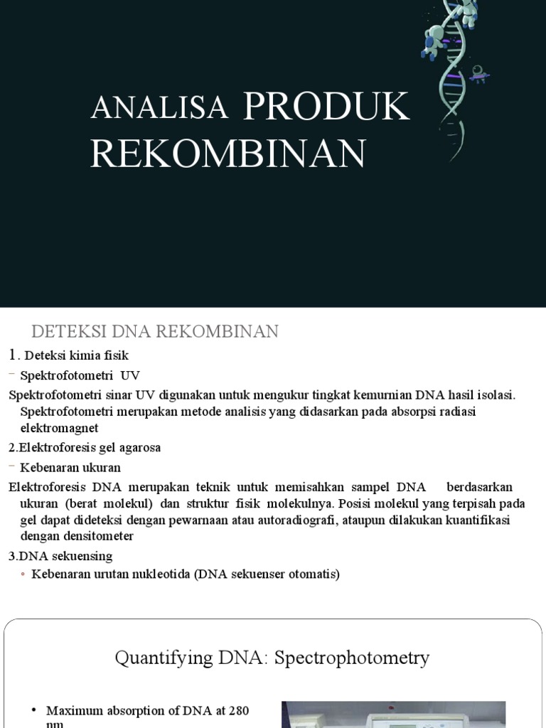 Analisis Produk Dna Rekombinan 2 | PDF