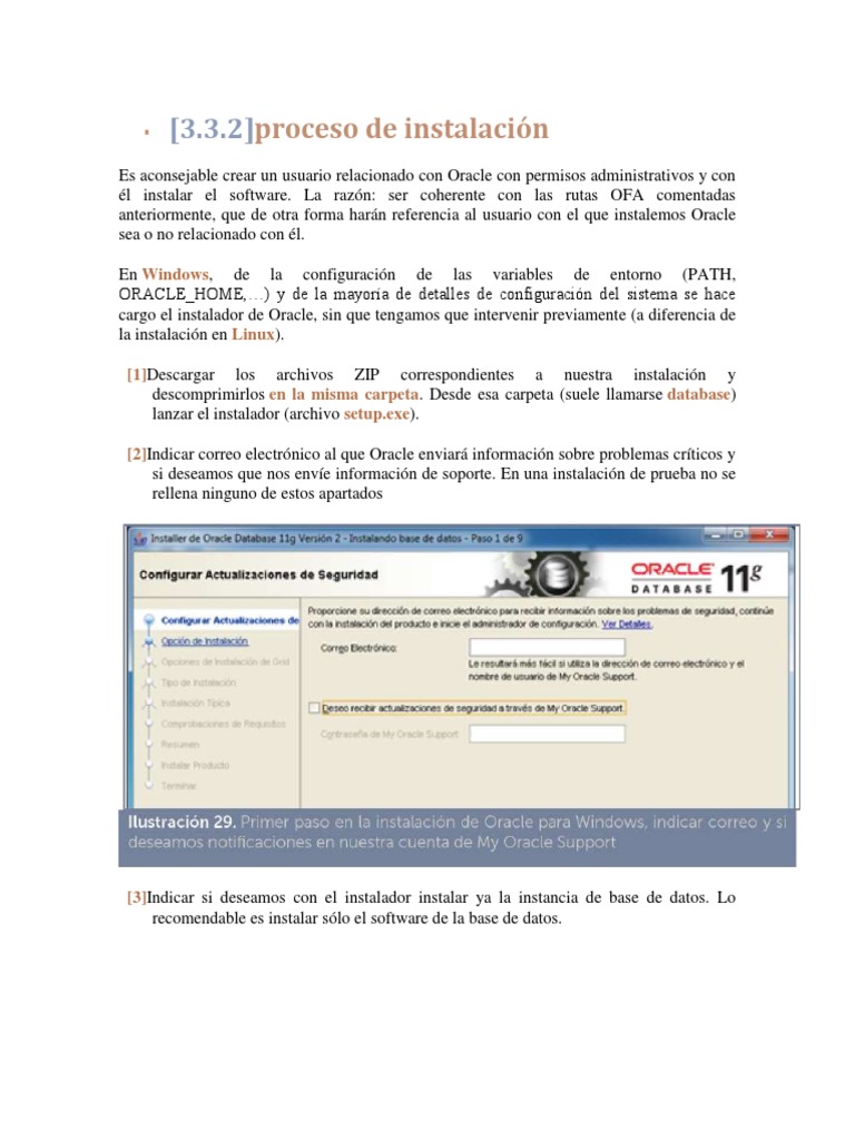 INSTALACIÓN DE ORACLE 11g | PDF | Archivo de computadora | Bases de datos
