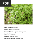 Philippine Weed Species Guide | PDF | Grass | Plants