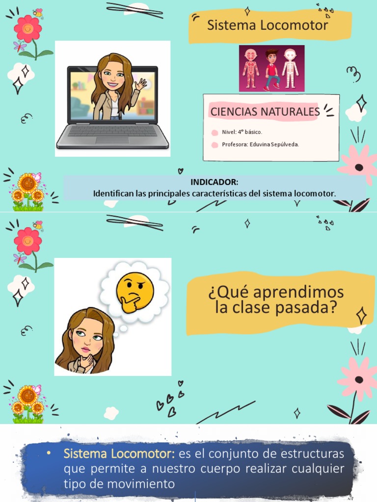 4° BAS. SISTEMAS LOCOMOTOR | PDF