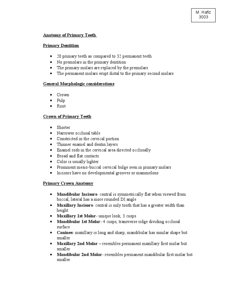 Anatomy of Primary Teeth Overview | PDF