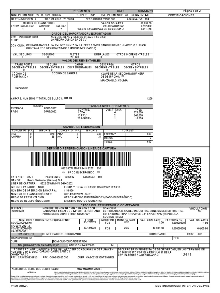Formato de Pedimento Aduanero A1 | PDF | Industrias de servicio | Bancario