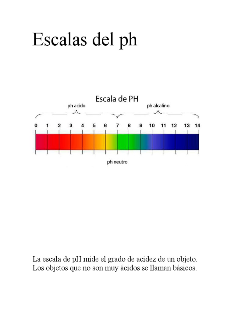 Escalas Del PH Celeste Escobar 9 | PDF | Cocina, comidas y vino