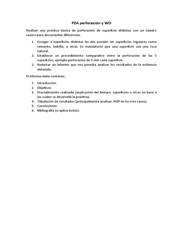 PEA Perforación y WO | PDF